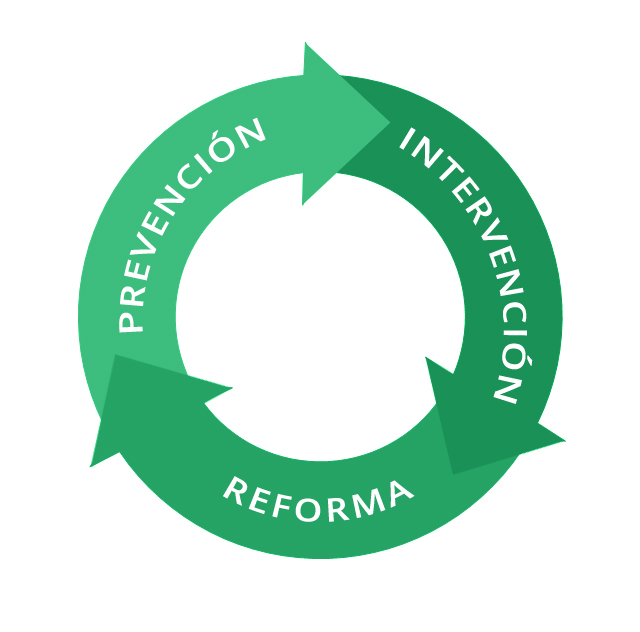 PIR (Prevención, Intervención, Reforma) - Paz y Esperanza Bolivia